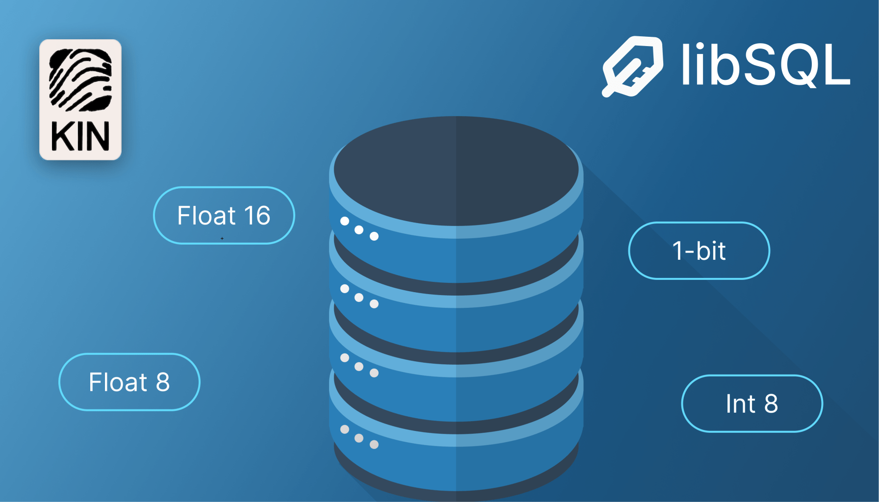 The space complexity of vector indexes in LibSQL